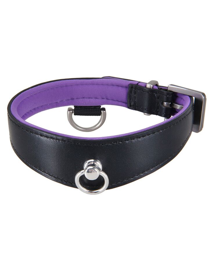 Black Swan Collar - Black Purple | Sultry Company
